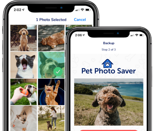 Learn More About the App | Pet Photo Saver